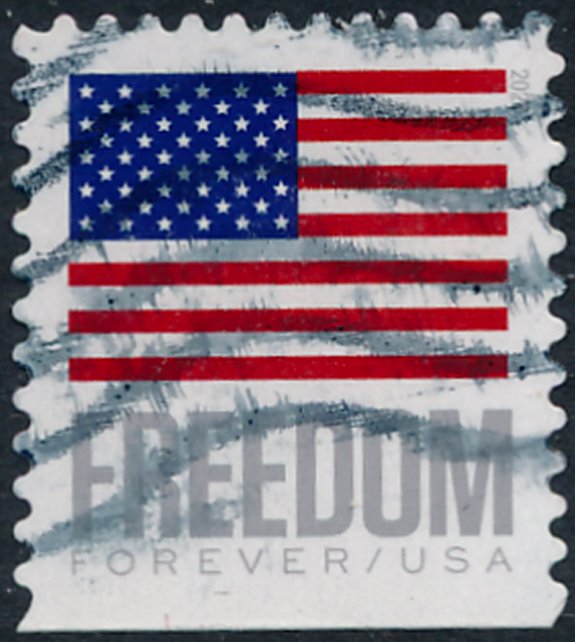 5791 Forever Freedom Flag Used Single (5791used) Golden Valley ...