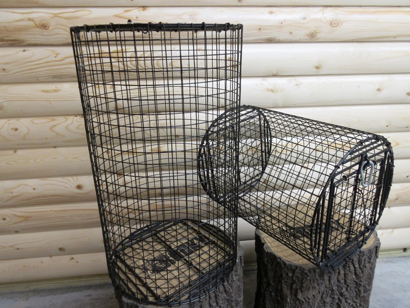 Beastmaster Roll Cage | Northern Sport Co.