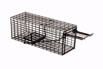 Wolf Creek Cage Trap Combo | Northern Sport Co.